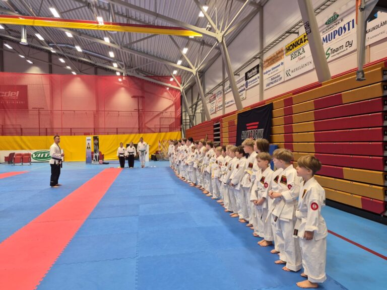 Junnujen valtakunnallinen syysleiri - Helsingin ju-jutsuklubi